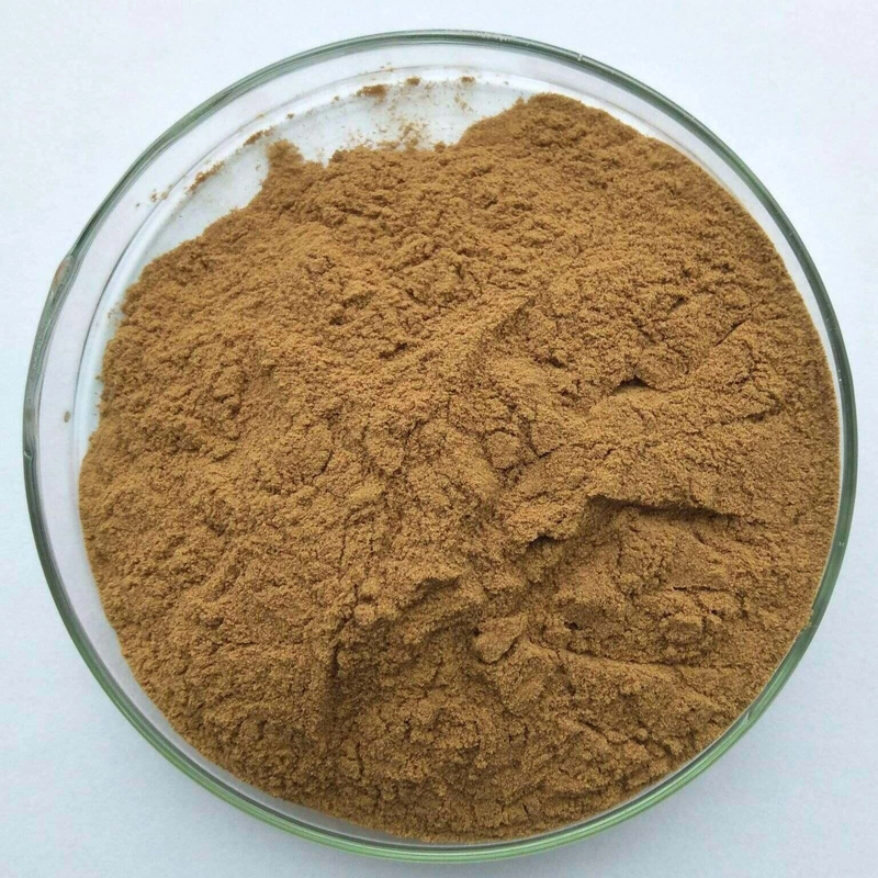 5: 1, 10: 1, 20: 1 Cnidium Seed Extract Cnidium Monnieri Extract