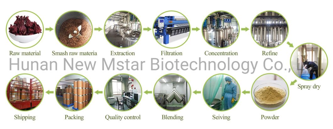 2022 Hot Sale 100% Natural Lily Extract/ Lily Bulb Extract/Lily Bulb ...