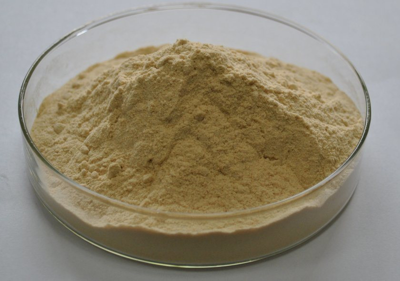 100% Natural Plant Extract Cetraria Islandica Extract Lichen Extract