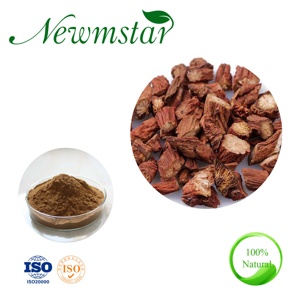 Chinese Herb Danshen Root Extract with The Best Factory Price From China