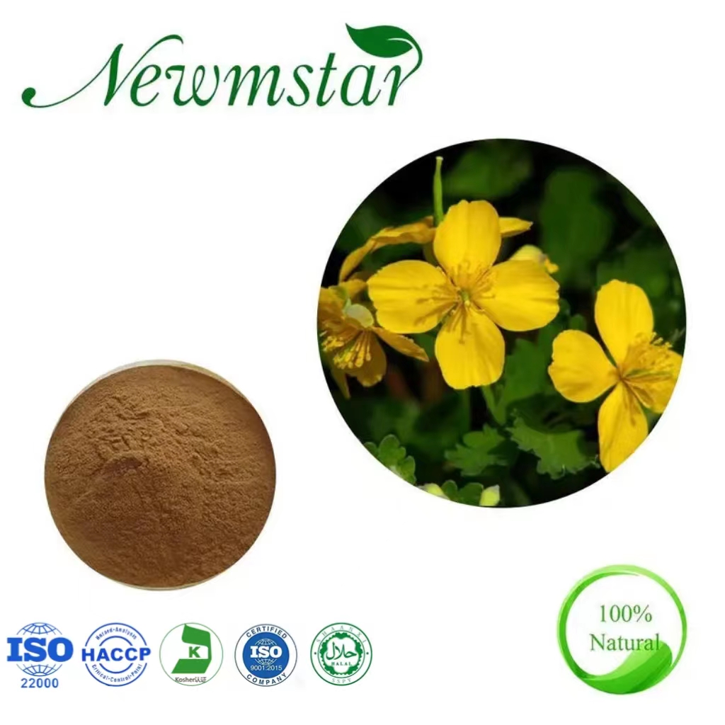 Free Sample Celandine Extract Chelidonium Majus/2% Chelerythrine Plant ...