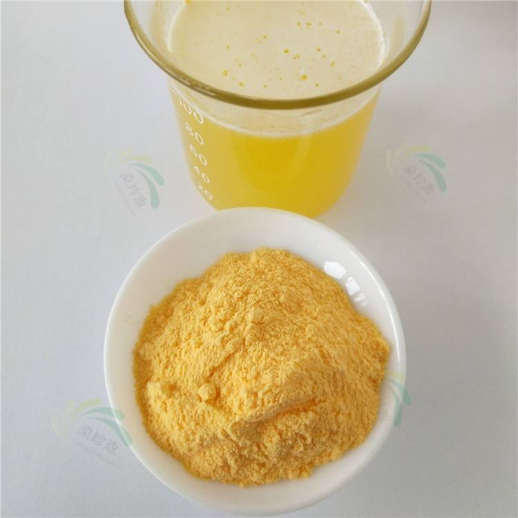 Fresh Mango Juice Powder for Ice Cream Infant Food 100% Nature