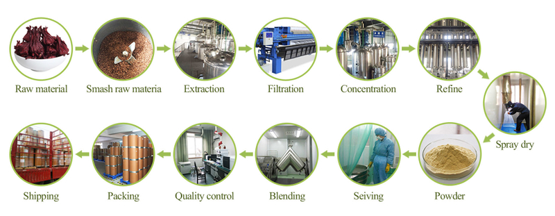 Maqui Berry Powder Maqui Berry Extract Maqui Berry Extract Powder