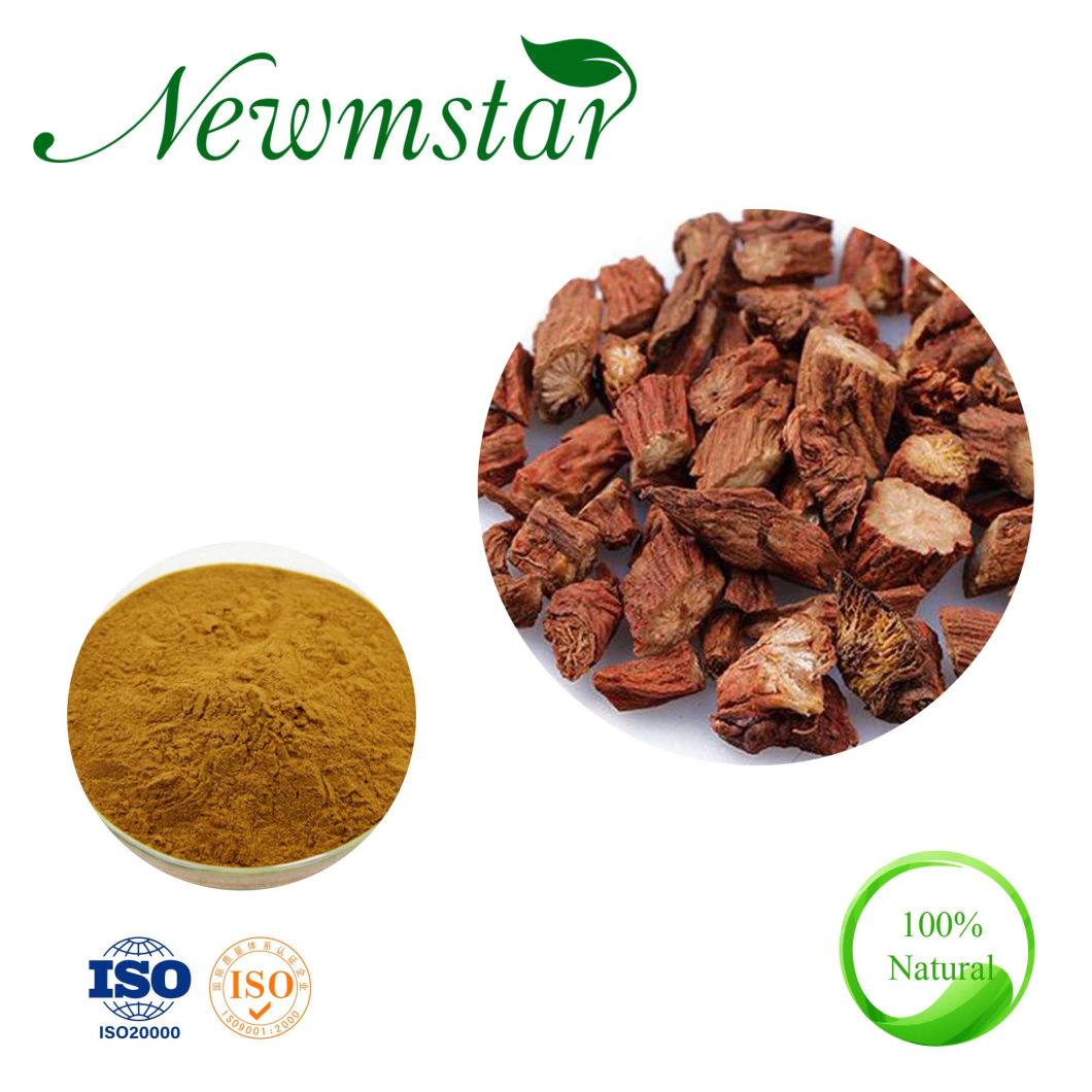 Chinese Herb Danshen Root Extract with The Best Factory Price From China