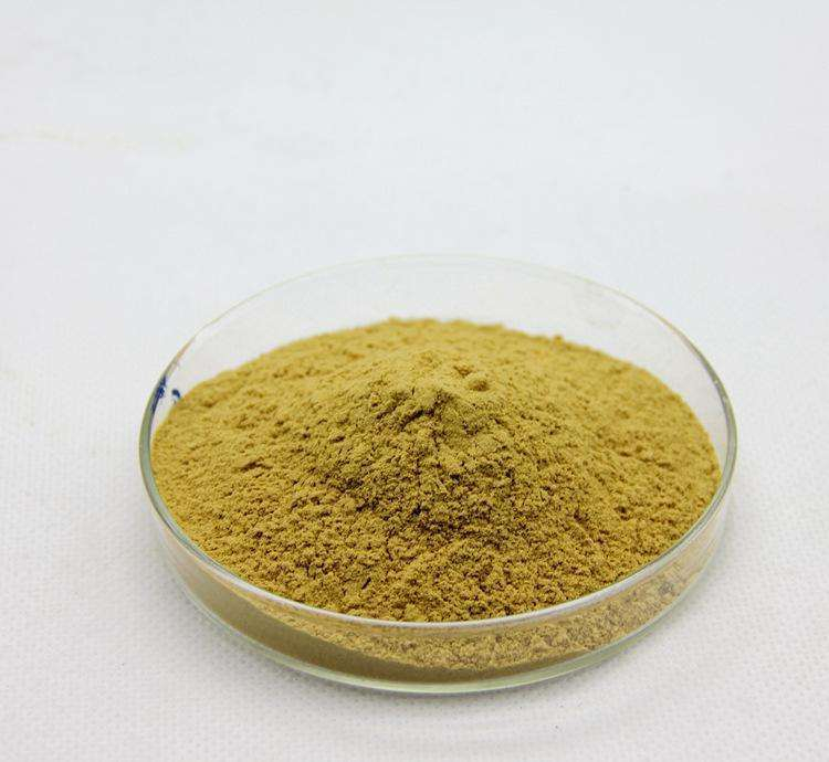 100% Natural Instant Water Soluble Organic Gingko Biloba Extract Powder