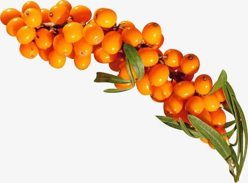 Fd Hippophae Rhamnoides, Sea-Buckthorn Freeze Dried Powder