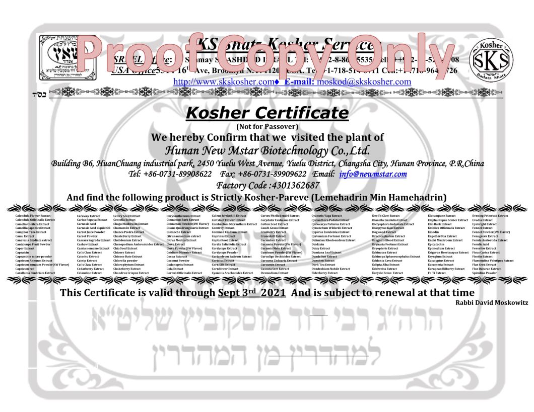 Rhaponticum Carthamoides (Willd) Iljin. Maral Root Extract Deer Root ...