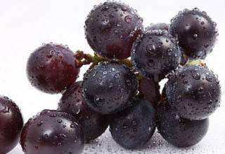 Skin Whitening Raw Material Grape Skins Extract with ISO ISO22000 ...