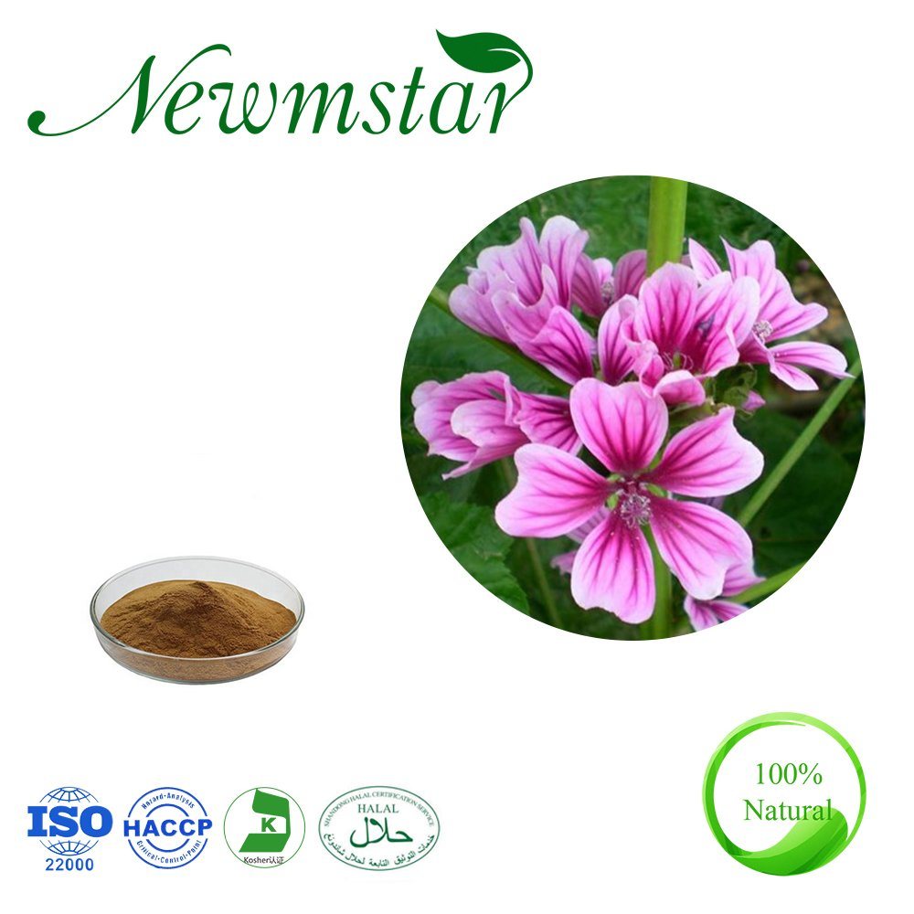 Organic Malva Sylvestris Flower Extract Hair Skin Care Mallow Extract