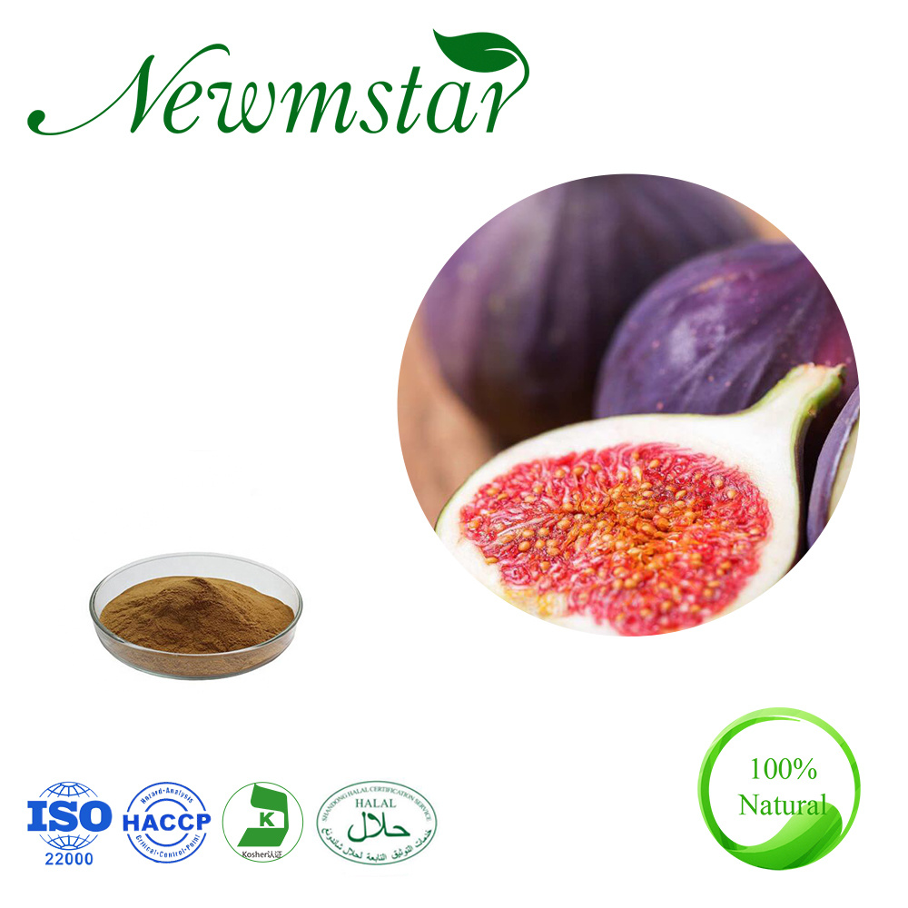 High Quality Fig Extract &Ficus Carica Extract &Fig Fruit/Leaf Extract ...