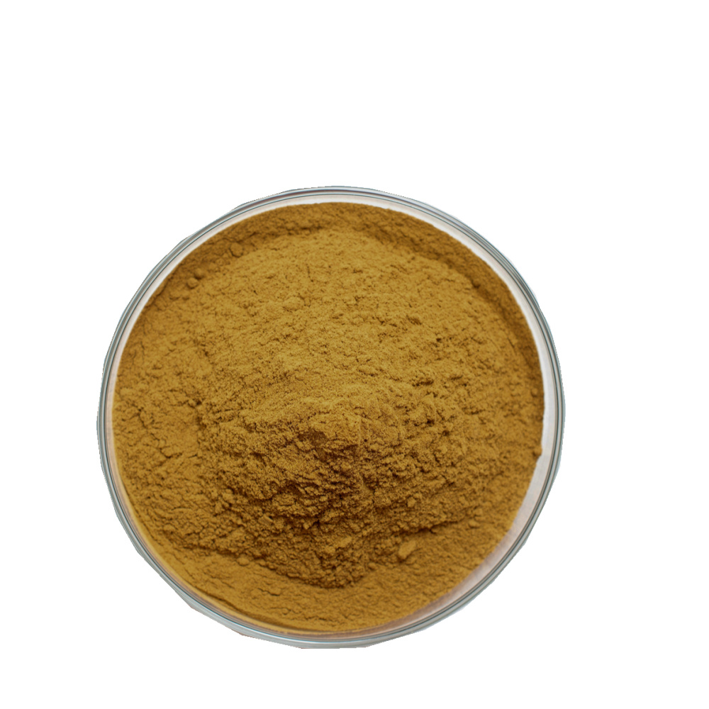 Free Sample Agarikon Officinalis Extract/Agarikon Extract/Laricifomes ...