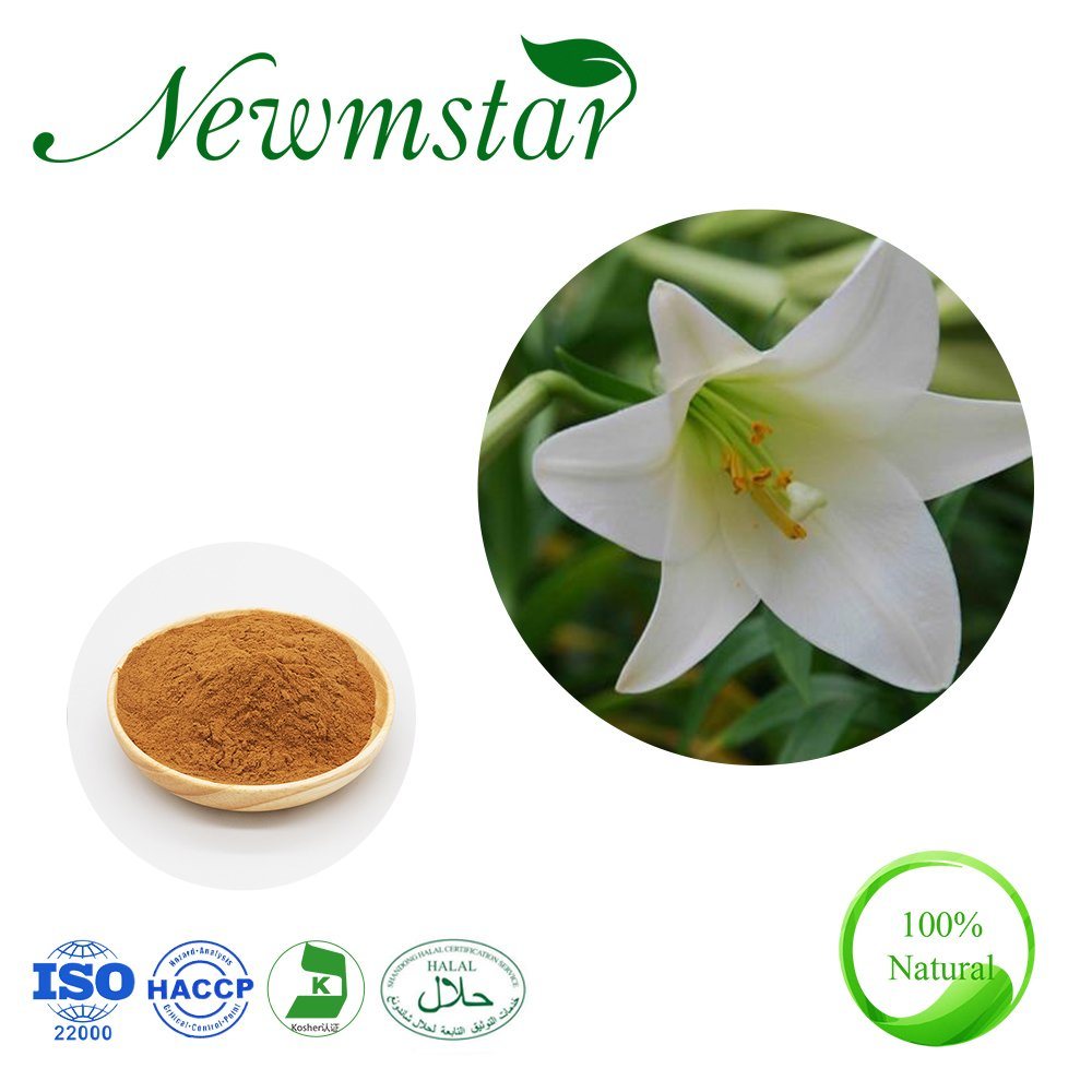 2022 Hot Sale 100% Natural Lily Extract/ Lily Bulb Extract/Lily Bulb ...