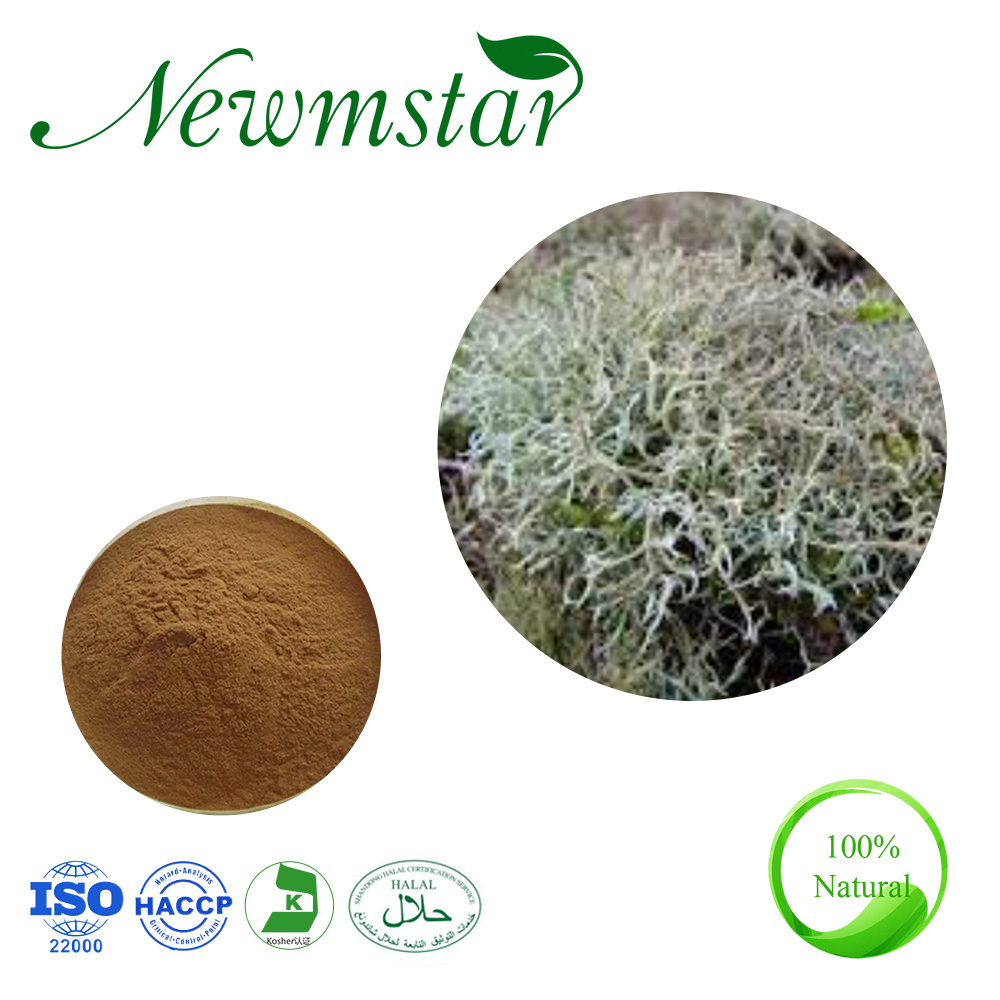 Cetraria Islandica Iceland Moss (Lichen) Extract 4: 1; 10: 1; 20: 1